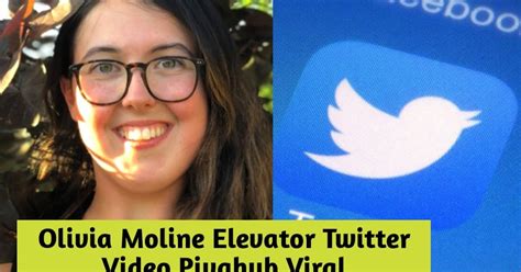 Frymasterg On Tumblr