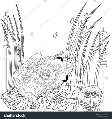 Coloring Book Adults Colouring Pictures Frog Stock Vector Royalty Free
