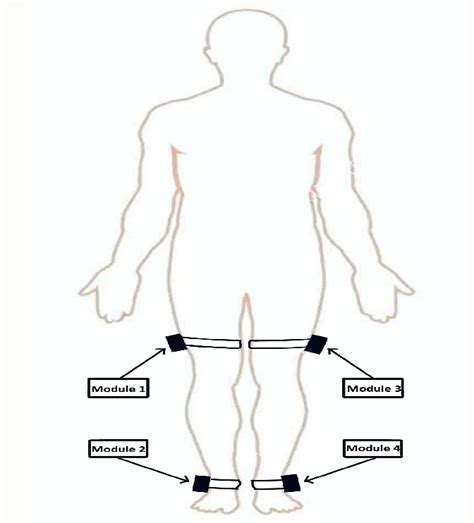 Figure 1 From Abnormal Gait Detection By Classifying Inertial Sensor Data Using Transfer