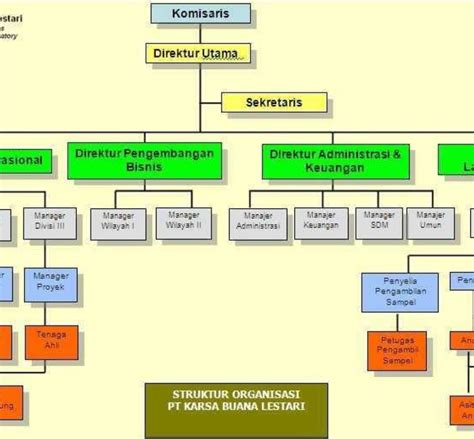 Struktur Organisasi Kbl Pt Karsa Buana Lestari
