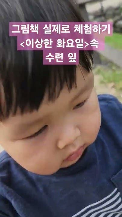 그림책 실제로 체험하기 책육아 놀이 양육 말연습 아빠육아 육아 육아에세이 그림책읽어주기 아이코칭 영아놀이