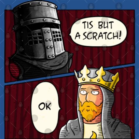One Punch King Monty Python And The Holy Grail Throw Pillows Sold