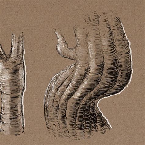 Reza Vahedi On Instagram Bark Treebark Tree Oldtree Trunk Plant Naturedrawing