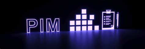 Pim Success How To Make Your Project A Success