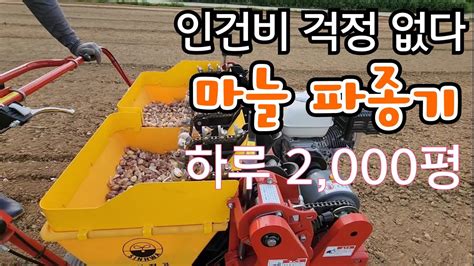 마늘 파종기 하루 2000평 인건비 걱정 뚝 홍산마늘 심었어요 Youtube