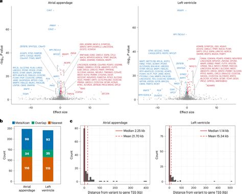 Transcriptome Wide Association Analysis A Volcano Plot Showing