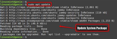 How To Install Steam On Linux Mint Linux Genie