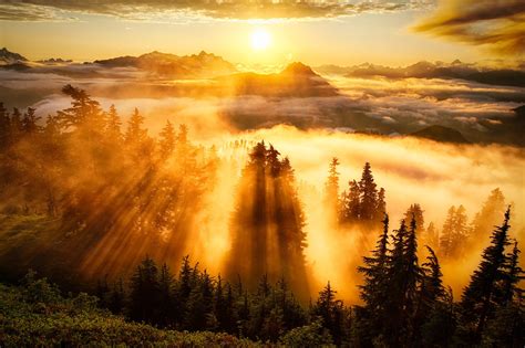 Clouds Filters Forest Golden Great Landscape Magnificent