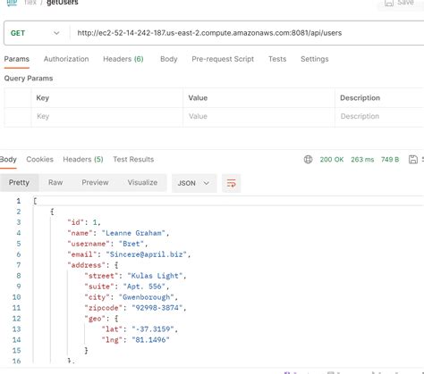 A Step By Step Guide To Installing Flex Gateway Using Docker On Aws Ec2