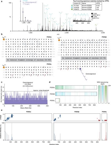Uncovering Hidden Protein Modifications With Native Top Down Mass