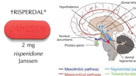 Risperdal Risperidone How It Works Why Its Used And Side Effects