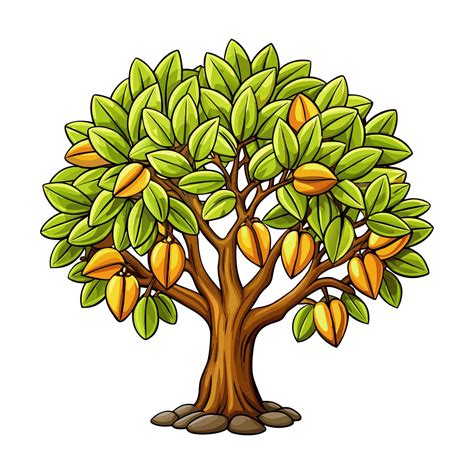 Cocoa Tree With Fruits And Leaves Illustration 56936606 Vector Art At Vecteezy