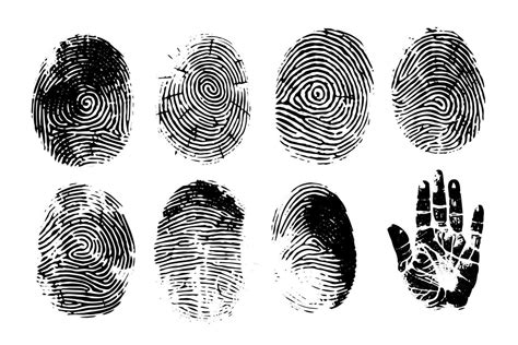 Forensic Evidence Collection Set Of Fingerprints Thumbprints And