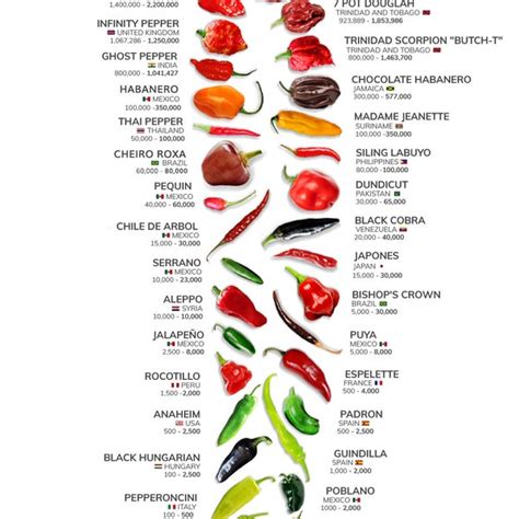 Pepper Scoville Poster Etsy