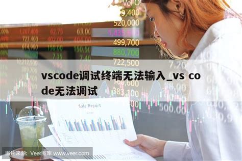 Vscode调试终端无法输入vs Code无法调试 陕西卓智工作室