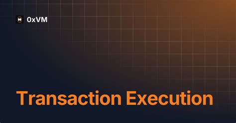 Transaction Execution 0xvm