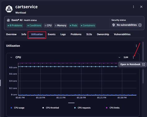 Optimize Workload Resource Usage With Kubernetes App And Notebooks — Dynatrace Docs