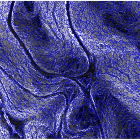 A Small Subset Of The Training Area After Segmentation Download