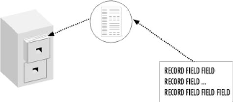 Figure 1 3 From Developing Bioinformatics Computer Skills An