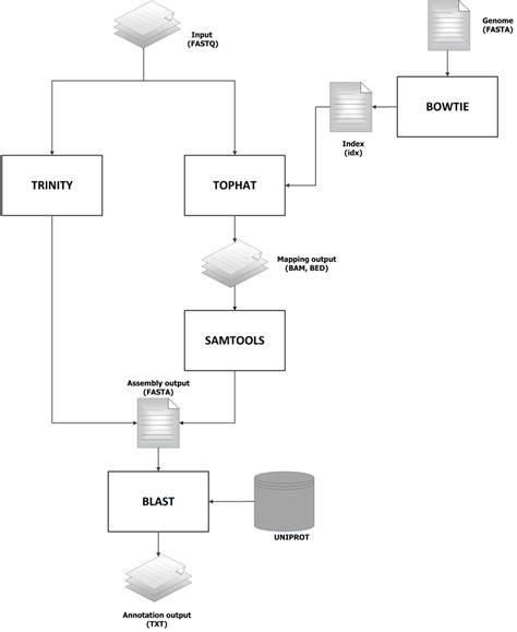 Workflow 1 Table II Information Of Executed Workflows W Phases Data Download Scientific