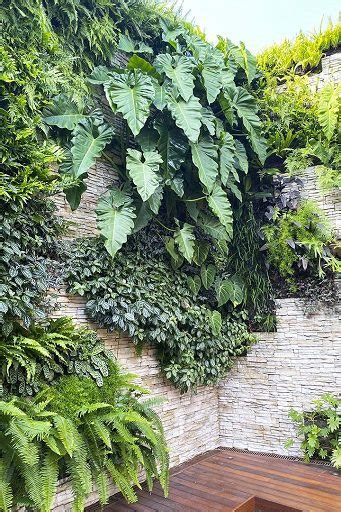 Fern Garden Ideas That Offer Tropical Atmosphere