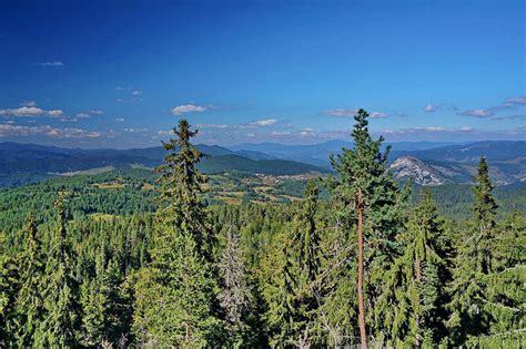 Планинска екскурзия до връх Виденица и Дяволския мост