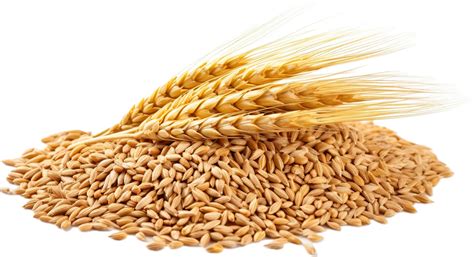 Ai Generated Wheat Grains Png 35062980 Png
