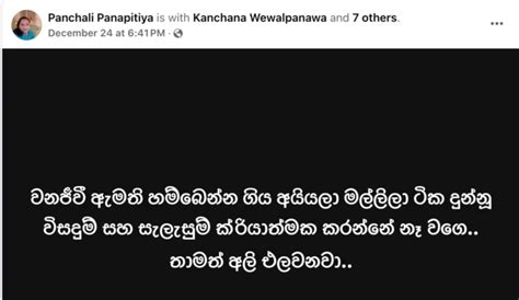 අලි මිනිස් ගැටුම අලි පැන්නීමේ අසාර්ථක උත්සාහය යළි අත්හදා බලන්න නියෝග දුන්නේ කවුද Bbc