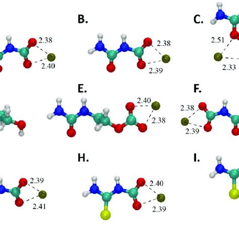 Dft Optimized Structures B3lyp 6 311 G In Dmso Of Proposed Co 2