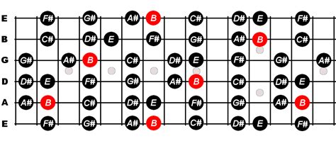 B Major Scale Guitar When Learning The Major Scale Is There A Benefit