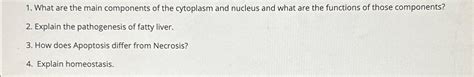 Solved What Are The Main Components Of The Cytoplasm And