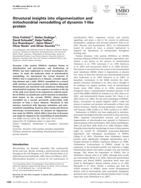Pdf Structural Insights Into Oligomerization And Mitochondrial Remodelling Of Dynamin 1 Like