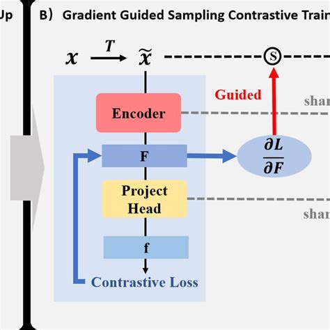 Details Of Contrastive Loss Gradient Guided Sampling Download