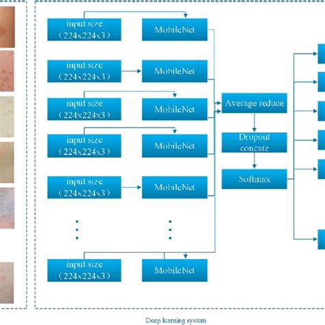 The Classification System Of Hyperpigmented Skin Diseases Based On Download Scientific Diagram The Classification System Of Hyperpigmented Skin Diseases Based On Download Scientific Diagram