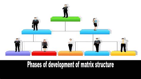 Phases Of Development Of Matrix Structure