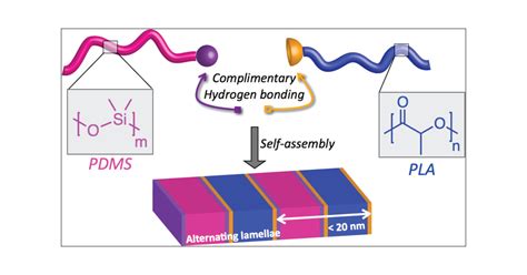 Nanostructured Supramolecular Block Copolymers Based On Polydimethylsiloxane And Polylactide