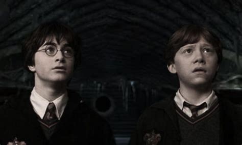 Harry And Hermione And The Chamber Of Secrets The Basilisk Wattpad