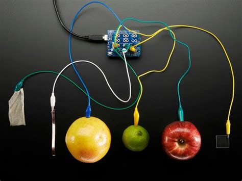 Making Vegetable Keyboard Using Leonardo And Adafruit Mpr Touch Shield Help General