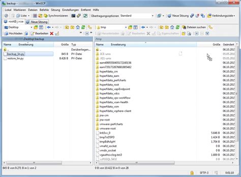 Backup Vcsa Vpostgres Database Roles And Permissions Gansercom