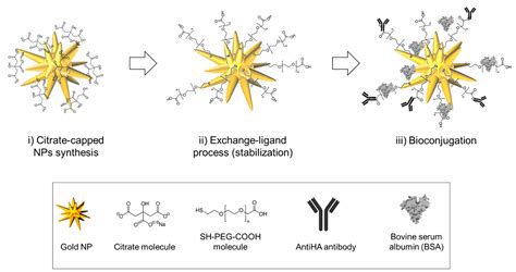 Gold Nanostars Bioconjugation For Selective Targeting And Sers Detection Of Biofluids