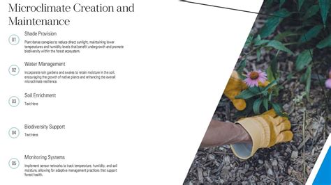 Microclimate Creation And Maintenance Canopy PPT Sample ST AI SS PPT Sample