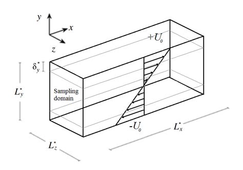 Flow Geometry Featuring A Sampling Domain Of Size L X × L Y − 2δ