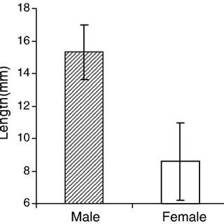 AGD Sexual Dimorphism Bar Graph Of AGD Difference Between The Sexes Download Scientific