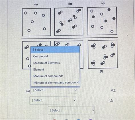 Solved Match Each Diagram Below With A Classification