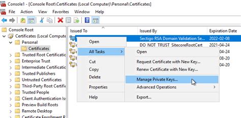 Replacing Your Ssl Certificate In A Standalone Sitecore Environment
