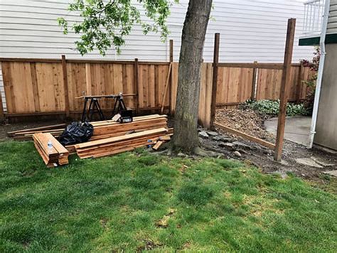 Tree Protection During Construction