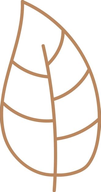 Premium Vector Tree Leaf Outline