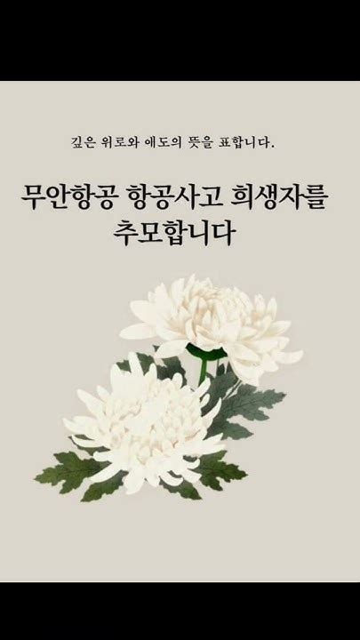 무안국제공항 제주항공 여객기 사고 희생자들의 명복을 빕니다 Youtube