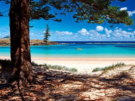 Top 10 Norfolk Island Holiday Packages Global Learning