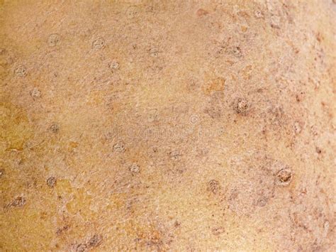 Potato Macro Photo As Background Food Photo Potato Texture Stock